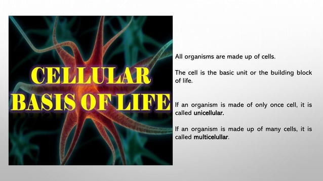 Unifying Themes in the Study of Life | PDF | Biological Sciences | Science
