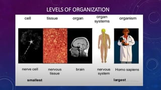 Unifying Themes in the Study of Life | PDF