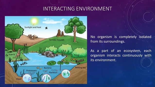 Unifying Themes in the Study of Life | PDF | Biological Sciences | Science