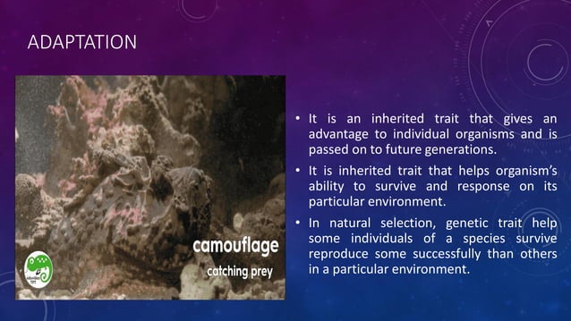 Unifying Themes in the Study of Life | PDF | Biological Sciences | Science