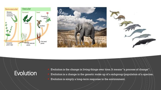 Unifying Themes in the Study of Life | PDF | Biological Sciences | Science