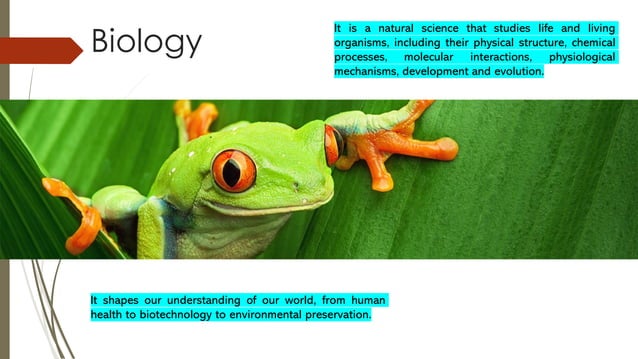 Unifying Themes in the Study of Life | PDF | Biological Sciences | Science