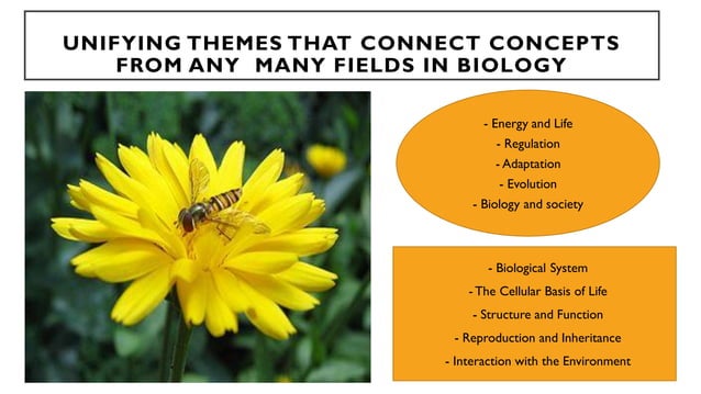 Unifying Themes in the Study of Life | PDF | Biological Sciences | Science