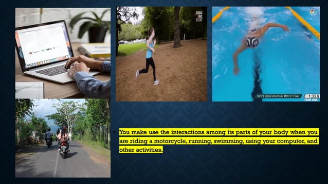 Unifying Themes in the Study of Life | PDF | Biological Sciences | Science