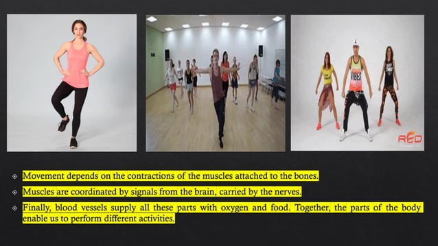 Unifying Themes in the Study of Life | PDF | Biological Sciences | Science