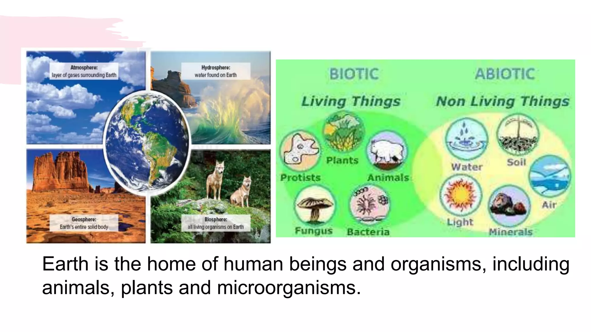 Unifying Themes in the Study of Life 2.pptx