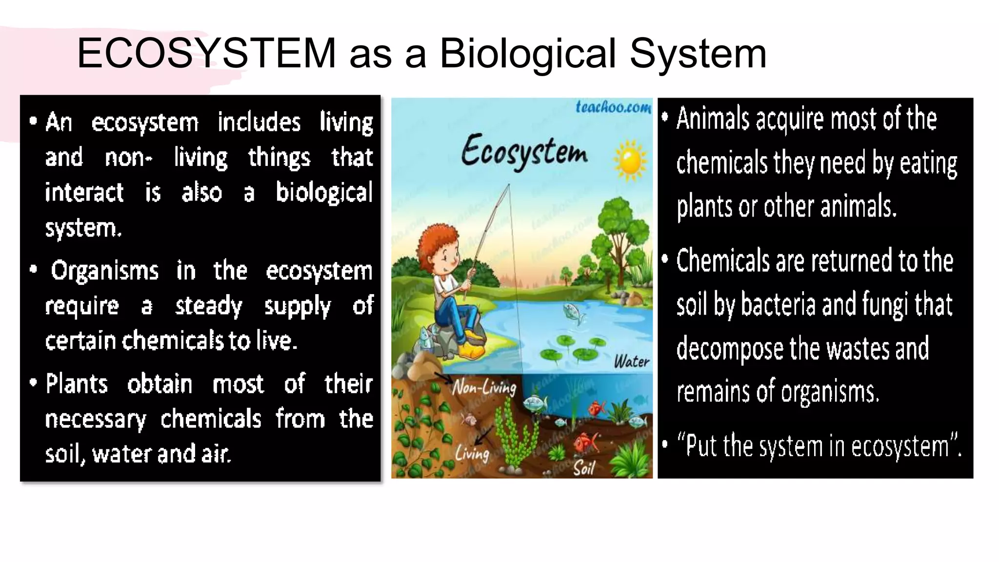 Unifying Themes in the Study of Life 2.pptx