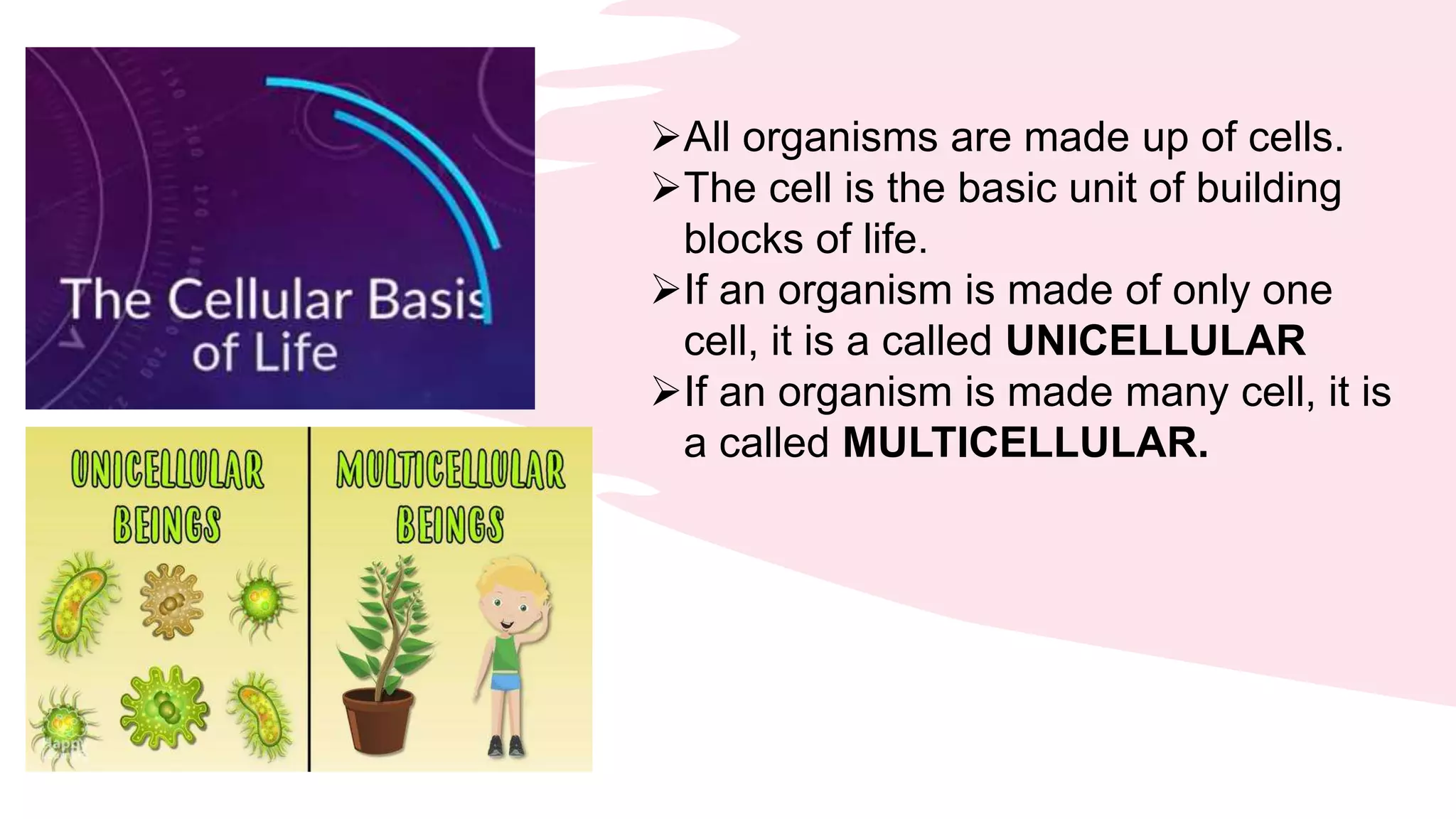 Unifying Themes in the Study of Life 2.pptx