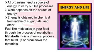Unifying Themes in the Study of Life 2.pptx