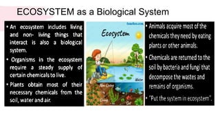 Unifying Themes in the Study of Life 2.pptx