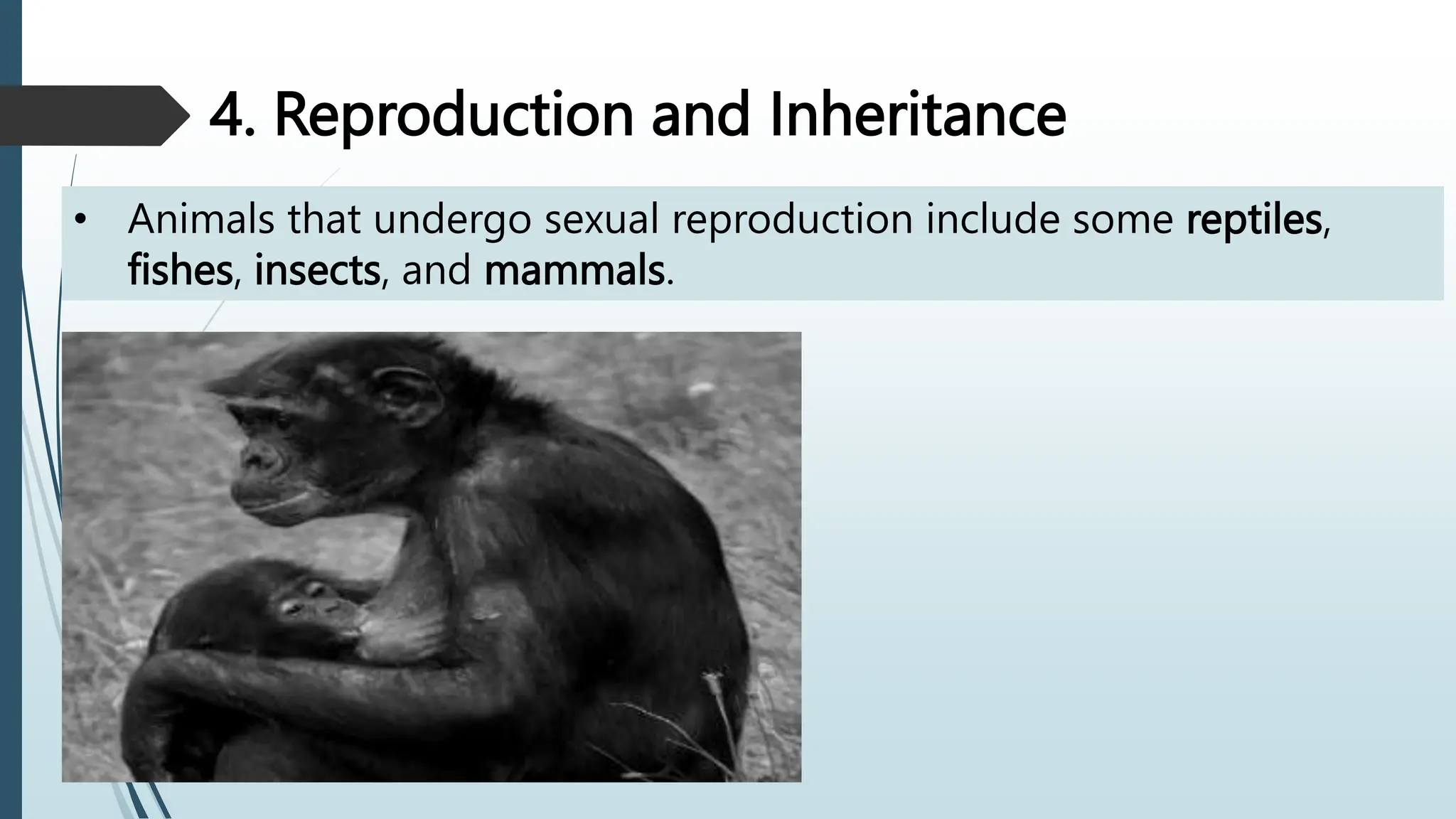 EARTH AND LIFE SCIENCE - UNIFYING THEMES OF LIFE.pptx