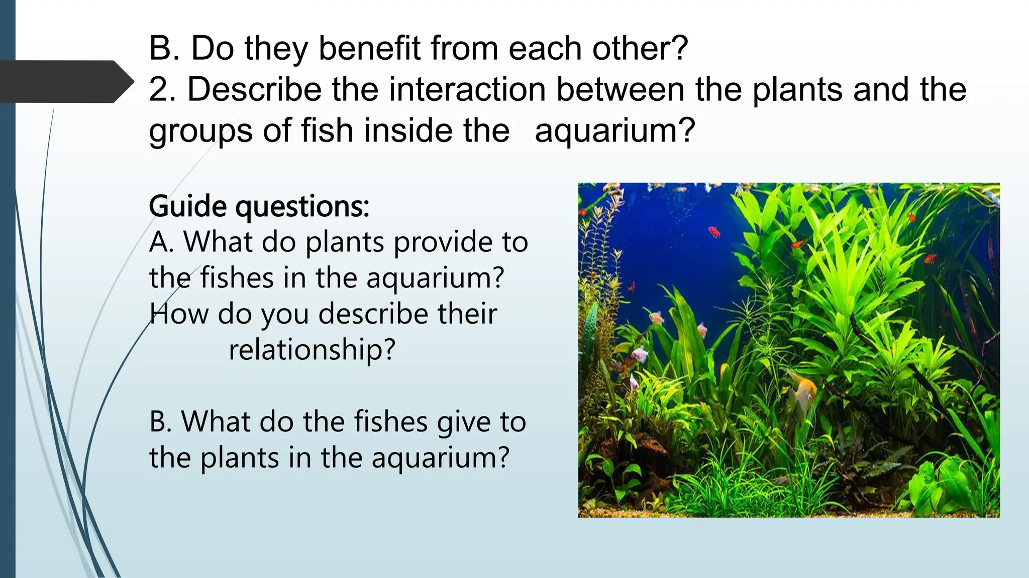 EARTH AND LIFE SCIENCE - UNIFYING THEMES OF LIFE.pptx