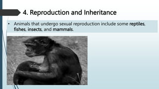 EARTH AND LIFE SCIENCE - UNIFYING THEMES OF LIFE.pptx