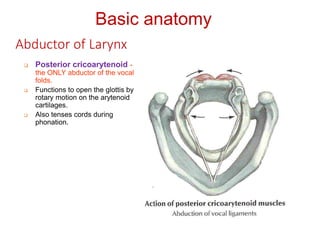 Unilateral vocal Fold Paralysis (UVFP).ppt