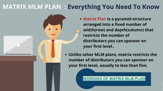 Unilevel VS Matrix Compensation Plan - A Complete Comparison Guide | PPT