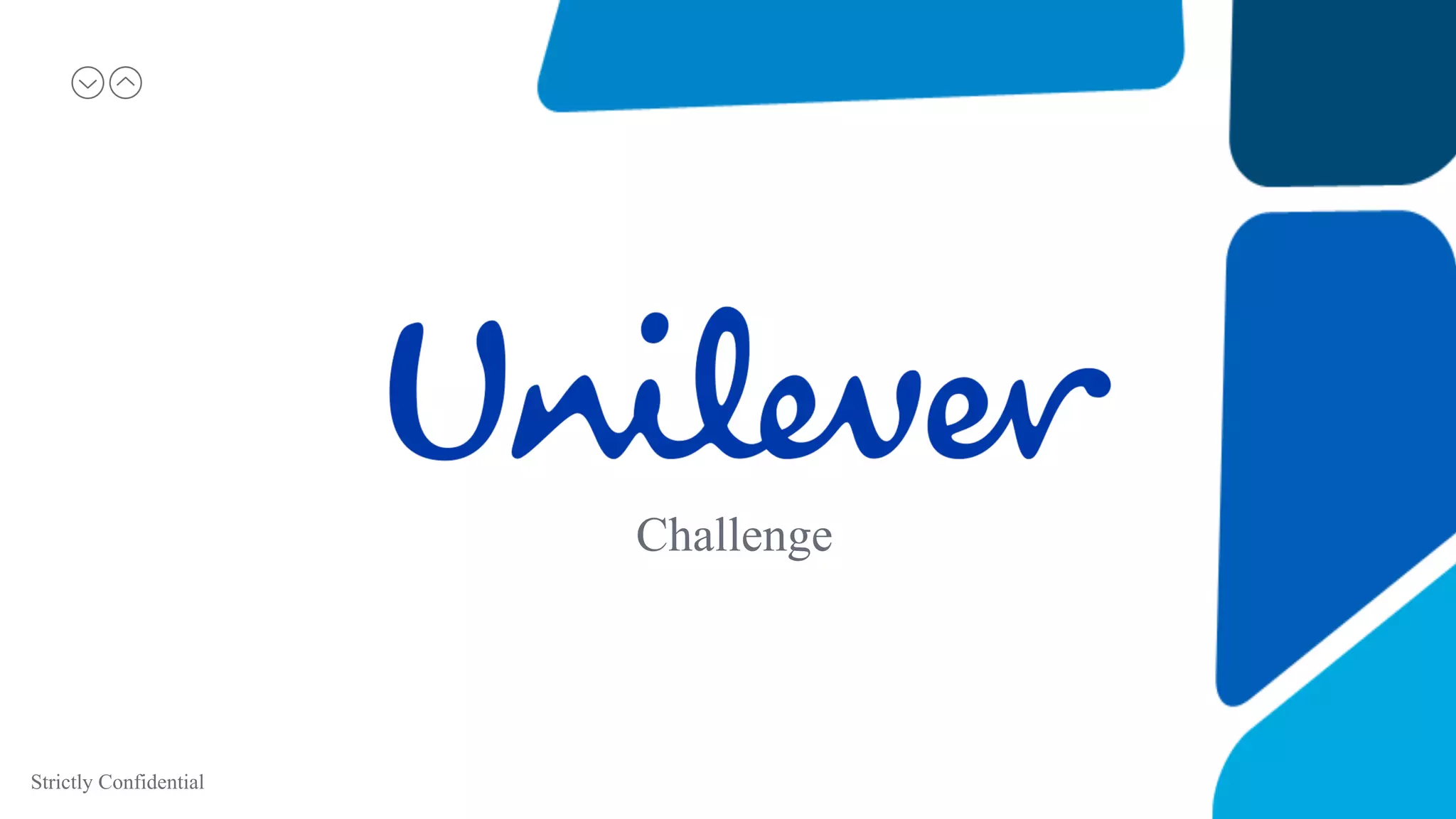 Unilever Challenge - Brands With Purpose | PDF