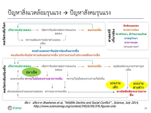 จาก SDGs ถึง COP21: โอกาสและความท้าทายของธุรกิจไทย | PPT