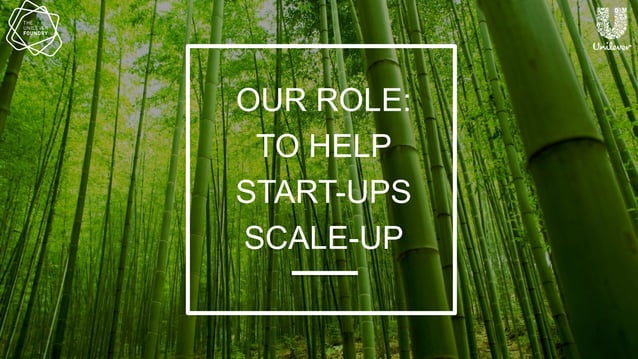 Unilever Foundry on Innovation | PDF