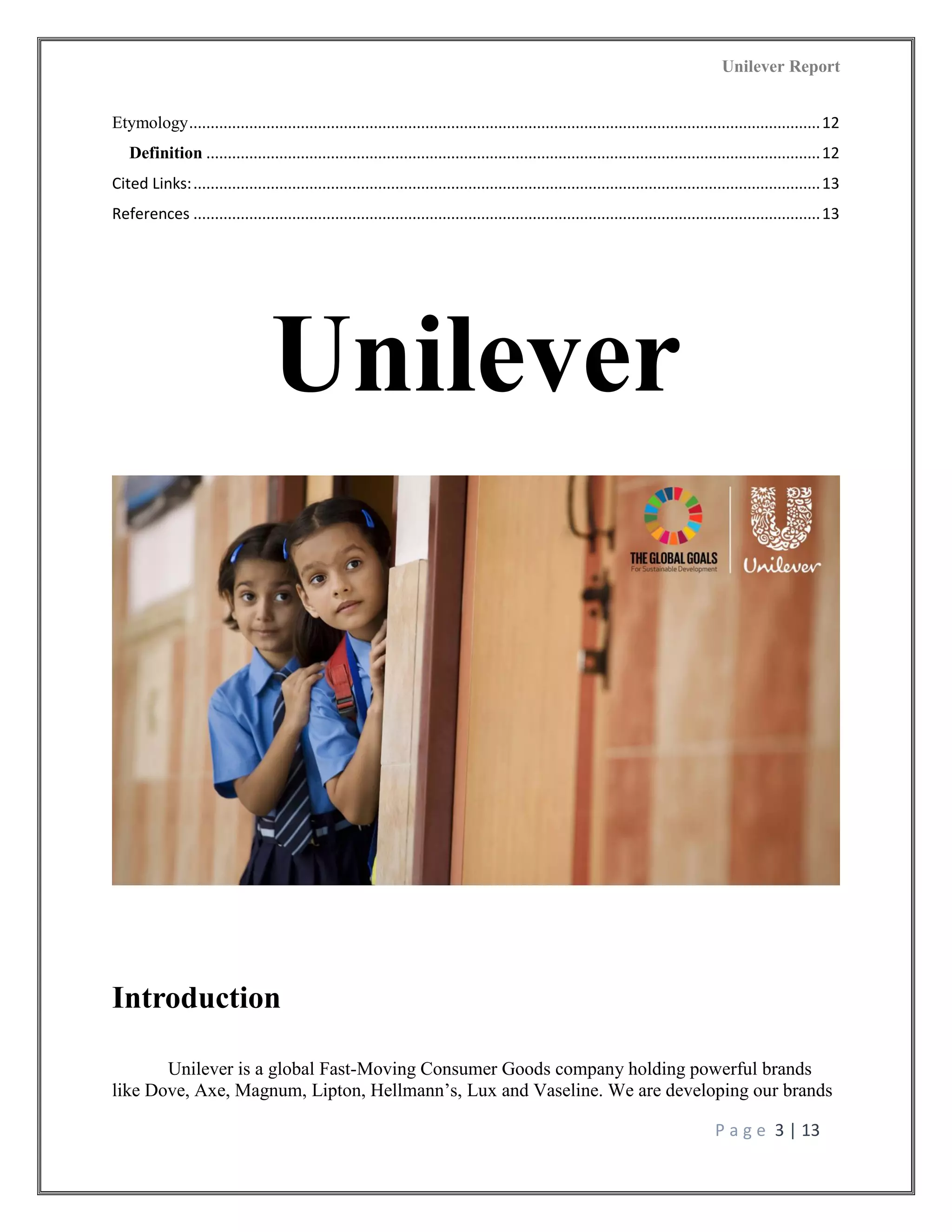 Unilever introduction | PDF