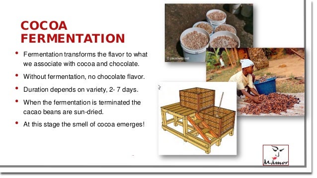Sensory Analysis for the Chocolate Industry