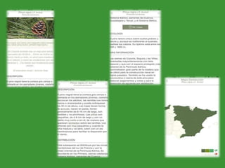 Unim natura i tecnologia | PPTX