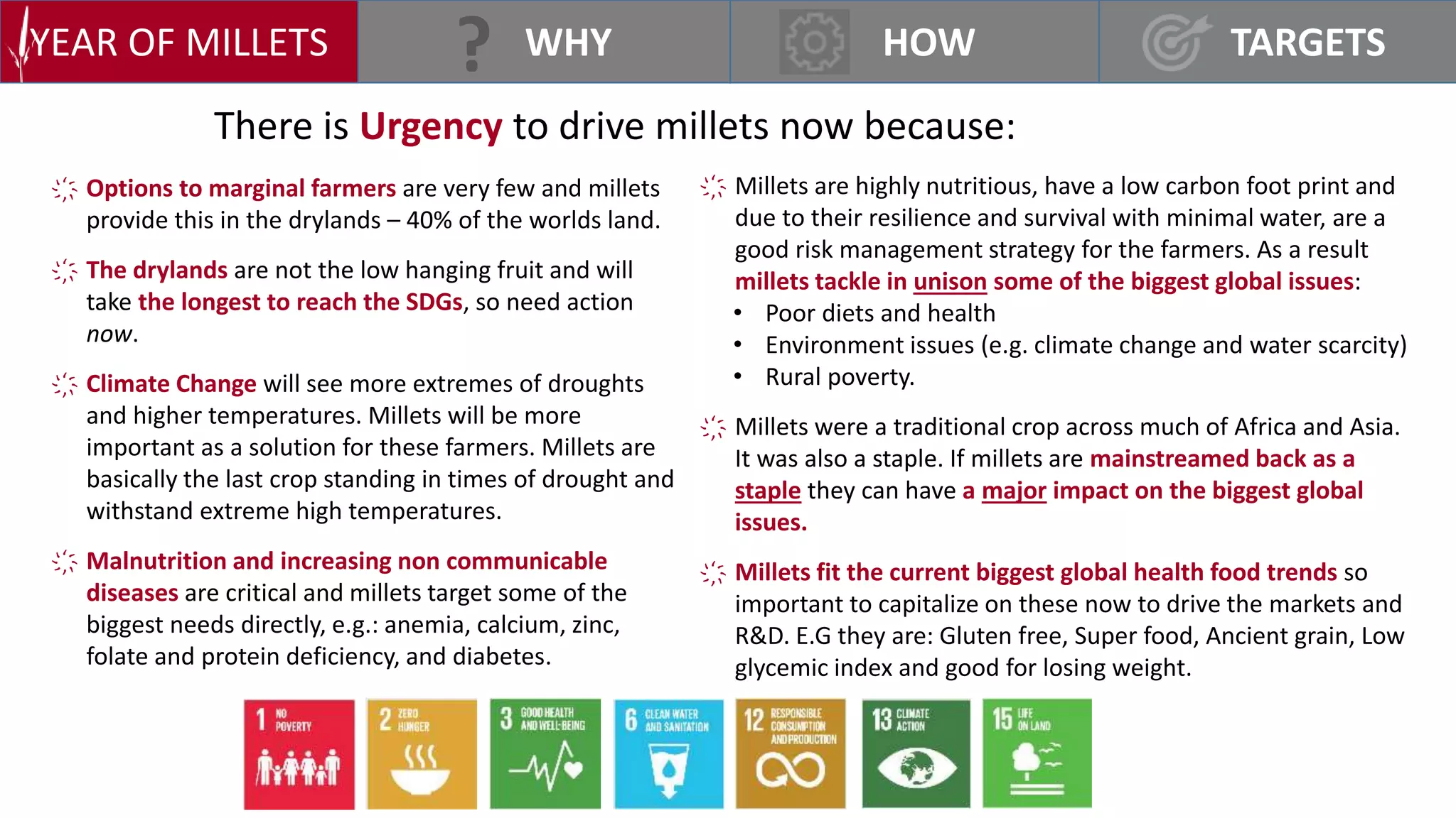UN International Year of Lets Millet | PPTX