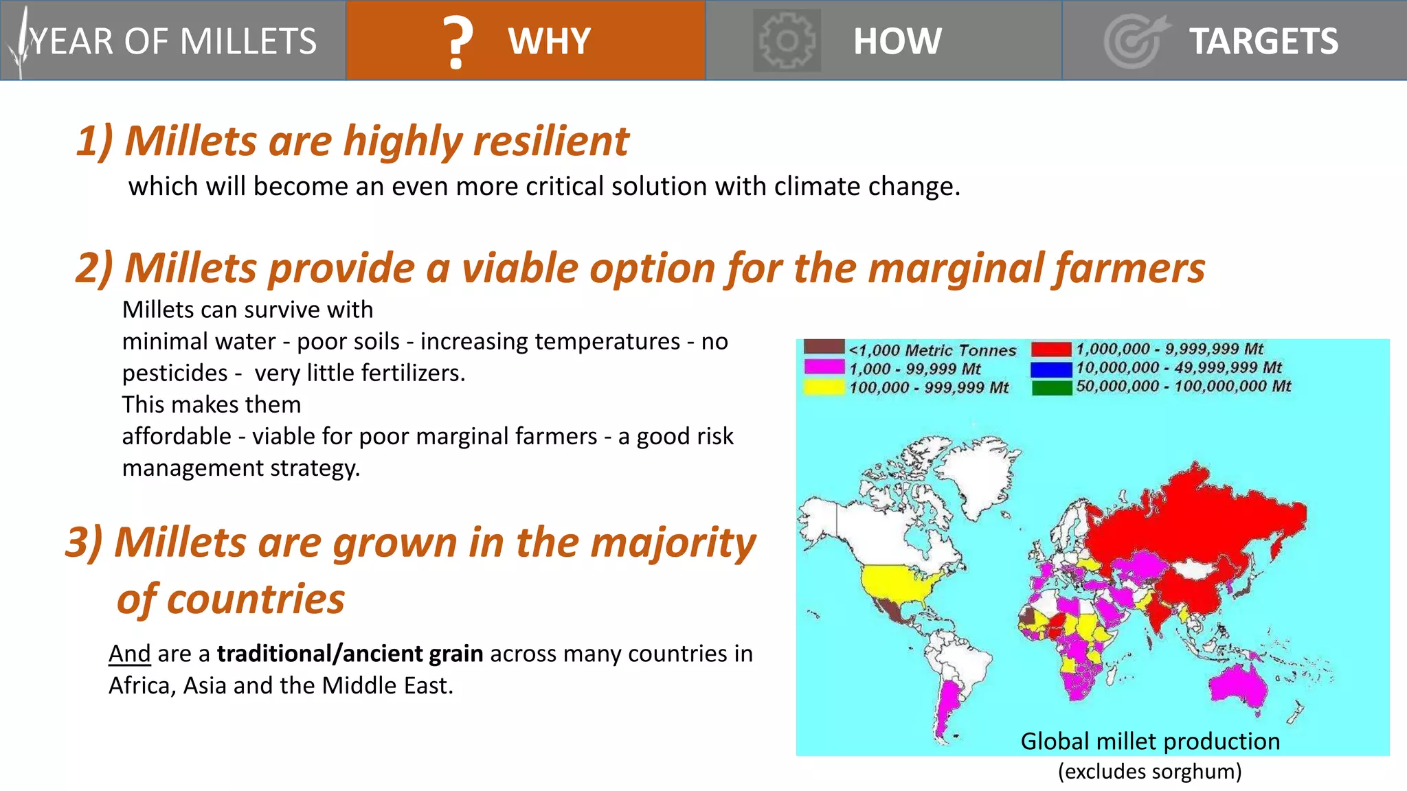 UN International Year of Lets Millet | PPTX