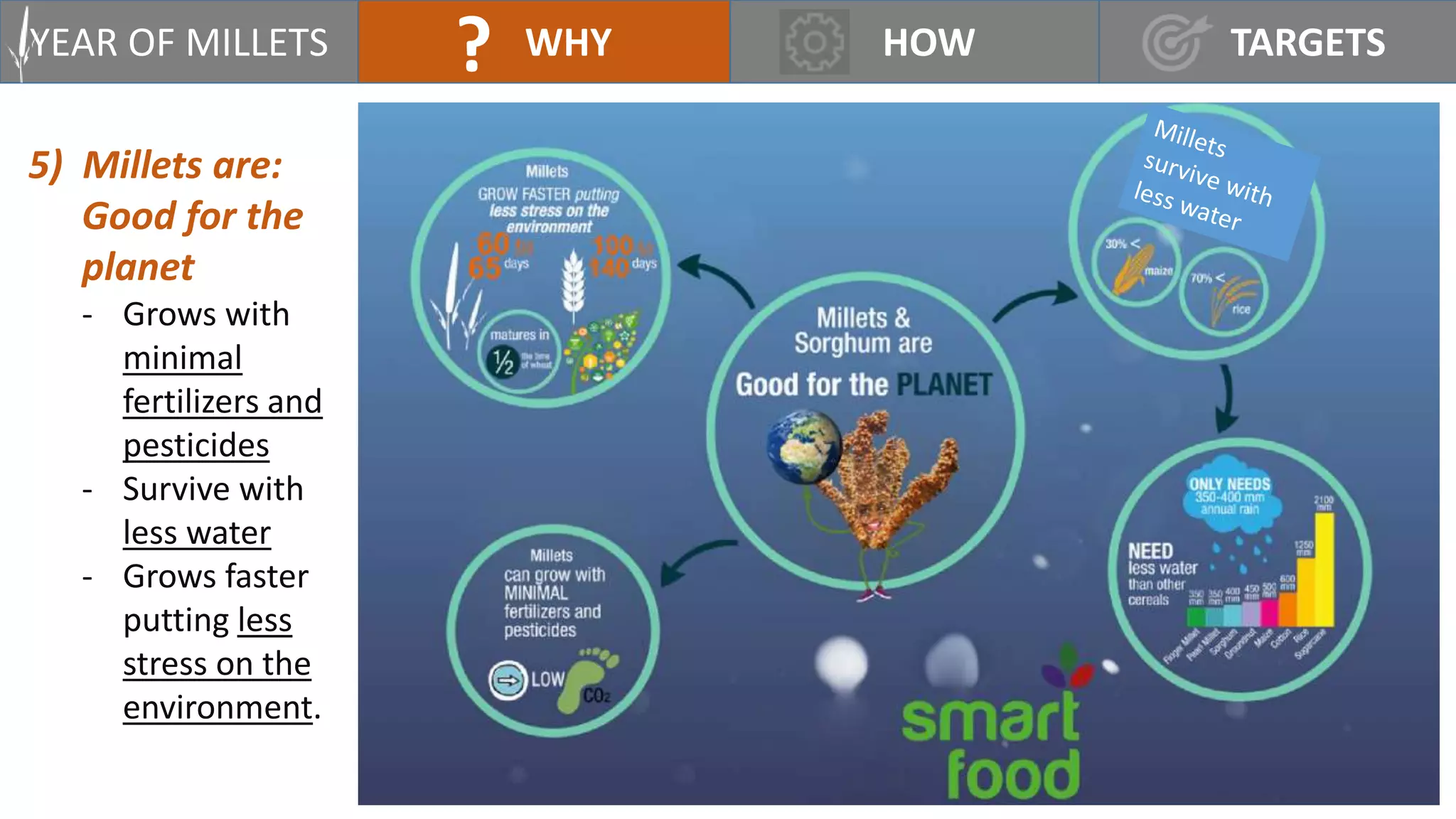 UN International Year of Lets Millet | PPTX