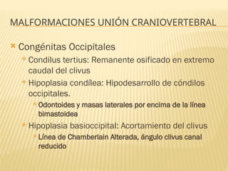 Anatomía de la Unión Craneocervical.pptx