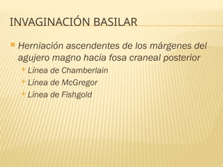 Anatomía de la Unión Craneocervical.pptx