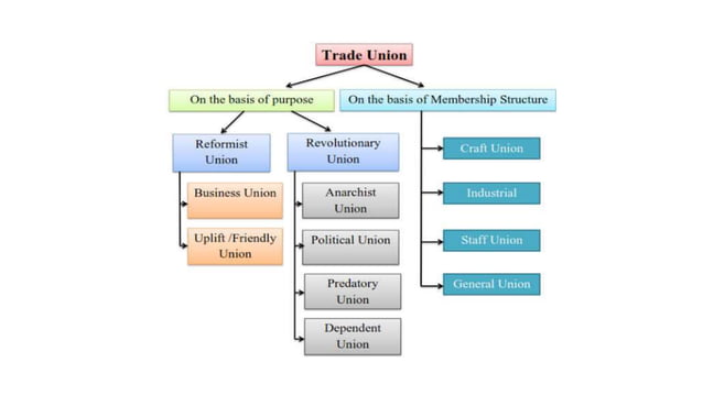 Unions Presentation -2.pptx