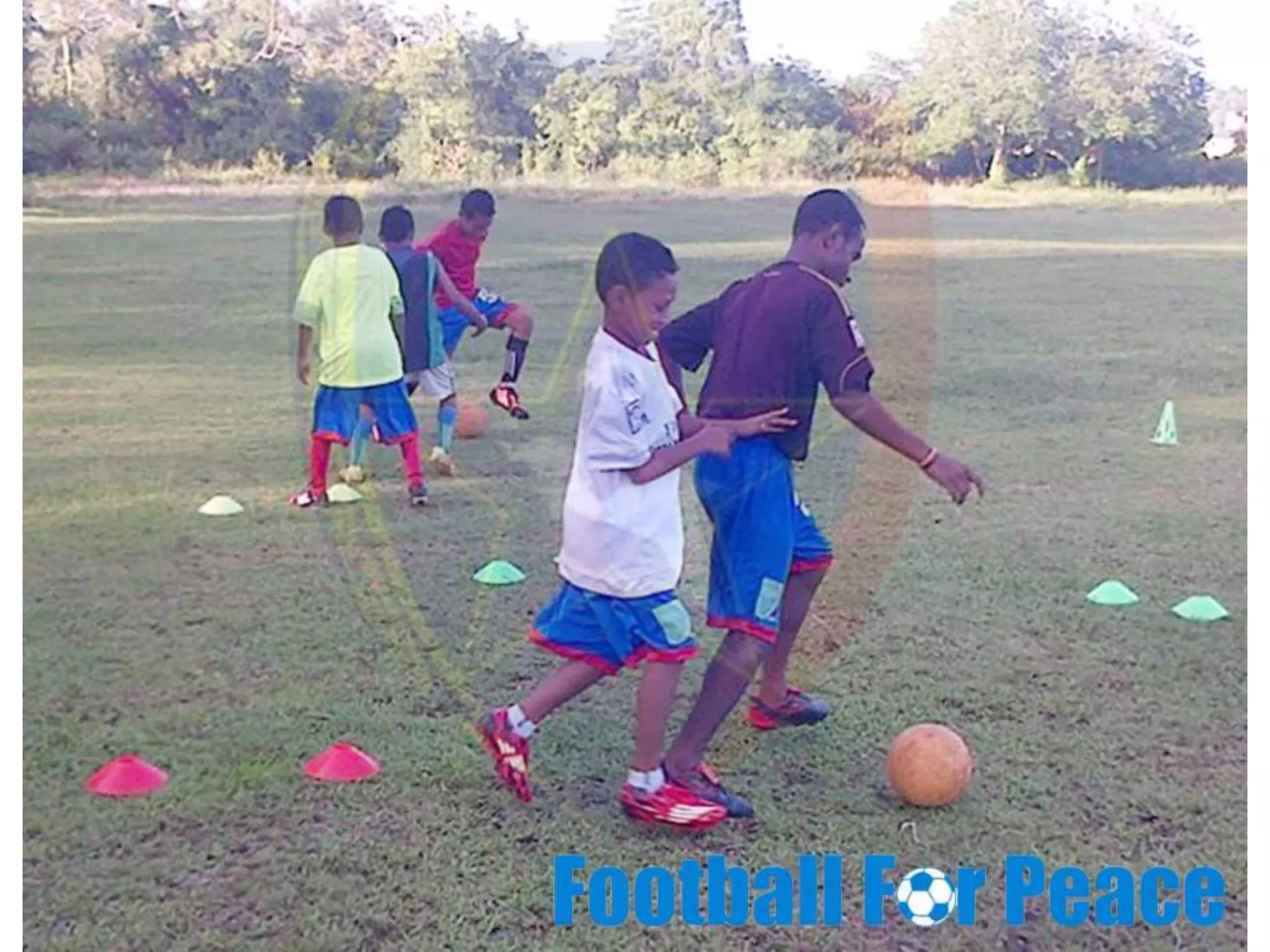 Uni papua fc biak kota | PPT