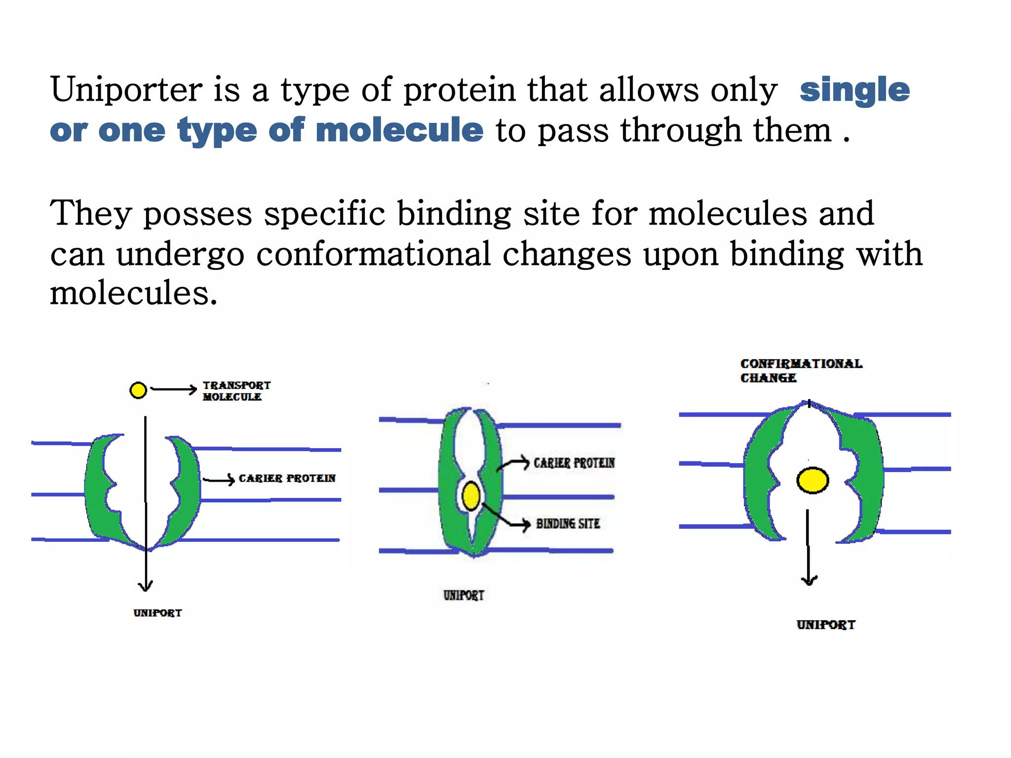 Uniporter catalyzed transport | PPTX