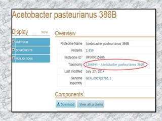 Uni prot presentation | PPTX