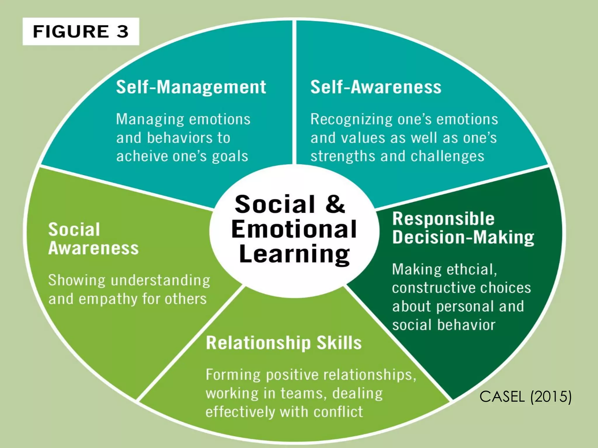 Mentor-ADEPIS: Social Emotional Learning (UNIQUE Behaviour Consultancy ...