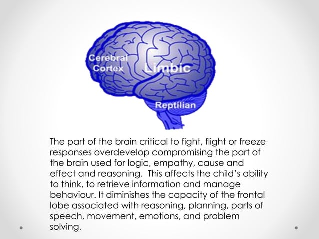 Mentor-ADEPIS: Social Emotional Learning (UNIQUE Behaviour Consultancy ...