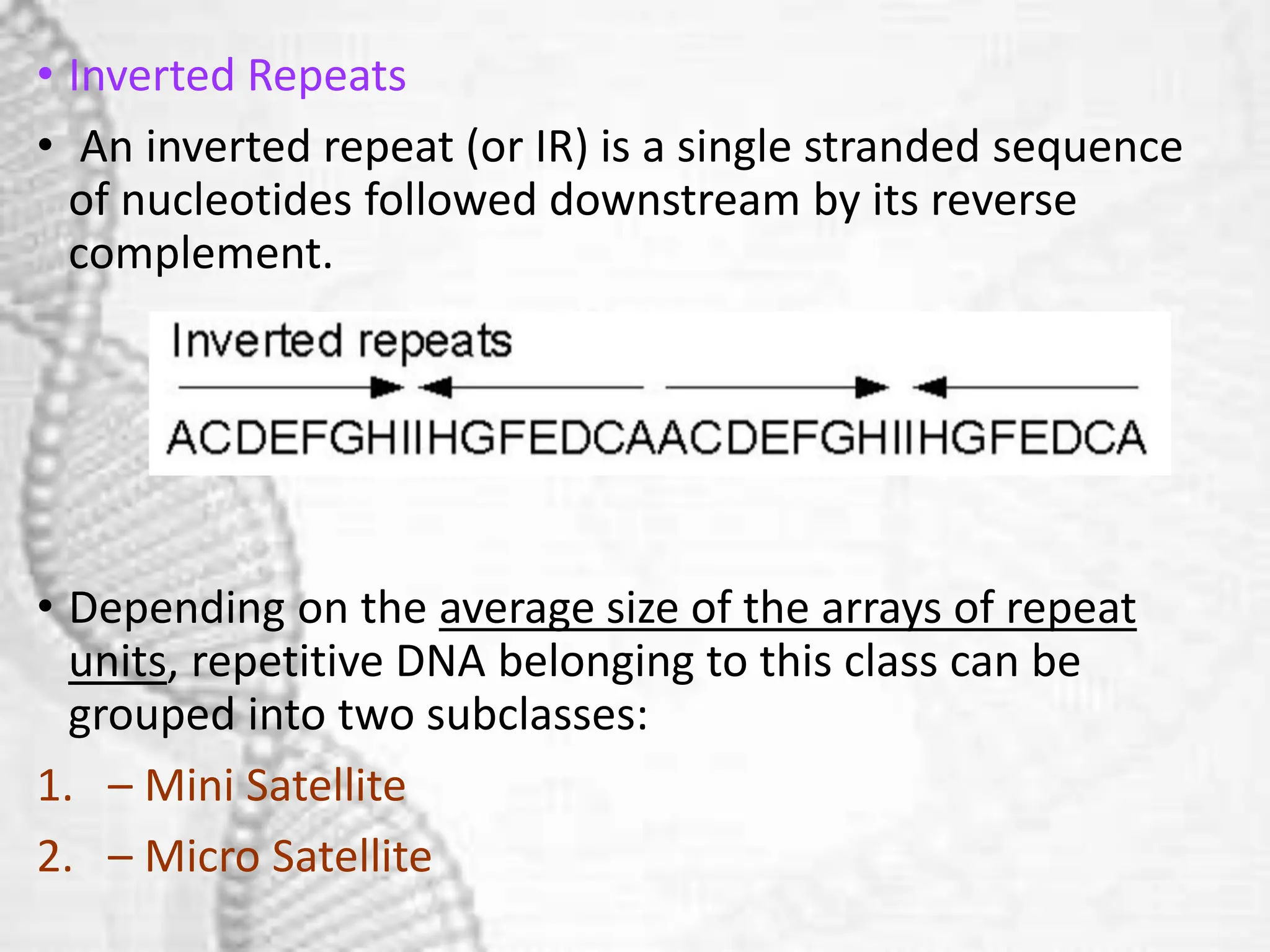 UNIQUE AND REPETITIVE DNA.a derailed presentation | PPTX