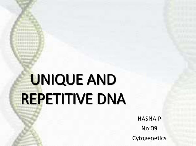 UNIQUE AND REPETITIVE DNA.a derailed presentation | PPTX