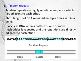 UNIQUE AND REPETITIVE DNA.a derailed presentation | PPTX