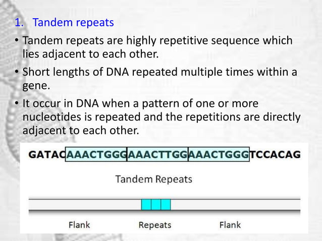 UNIQUE AND REPETITIVE DNA.a derailed presentation | PPTX