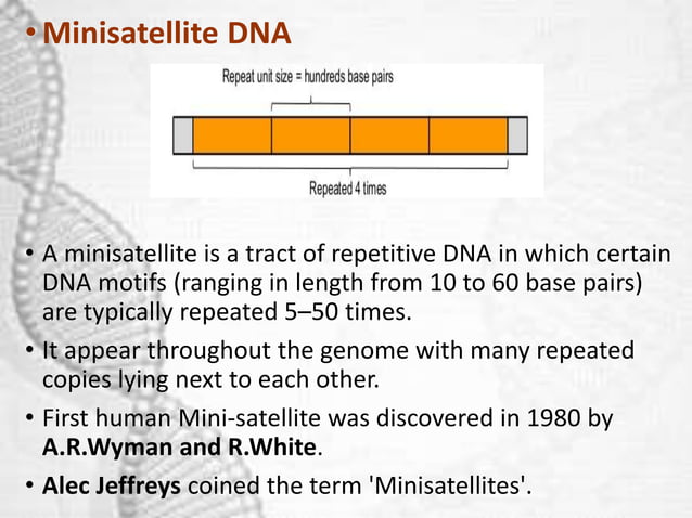 UNIQUE AND REPETITIVE DNA.a derailed presentation | PPTX