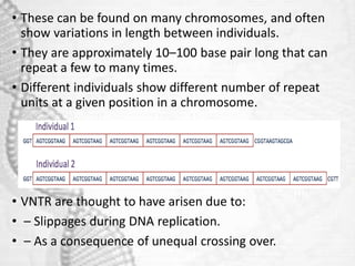 UNIQUE AND REPETITIVE DNA.a derailed presentation | PPTX