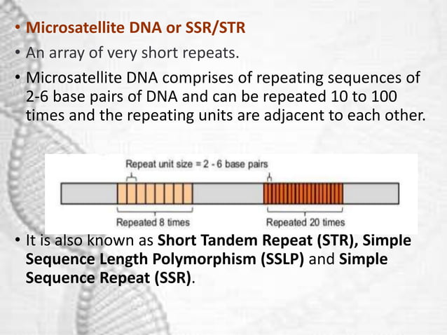 UNIQUE AND REPETITIVE DNA.a derailed presentation | PPTX