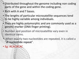 UNIQUE AND REPETITIVE DNA.a derailed presentation | PPTX