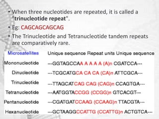 UNIQUE AND REPETITIVE DNA.a derailed presentation | PPTX