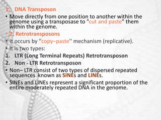 UNIQUE AND REPETITIVE DNA.a derailed presentation | PPTX