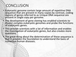 UNIQUE AND REPETITIVE DNA.a derailed presentation | PPTX