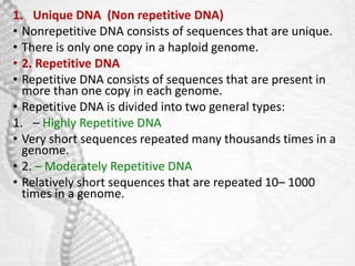 UNIQUE AND REPETITIVE DNA.a derailed presentation | PPTX