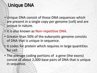 UNIQUE AND REPETITIVE DNA.a derailed presentation | PPTX
