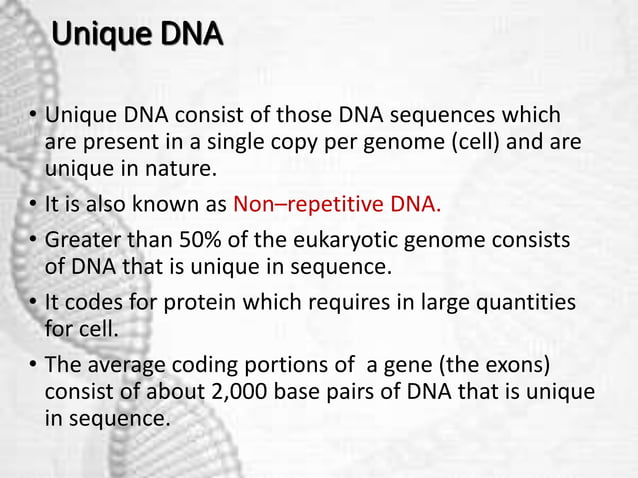 UNIQUE AND REPETITIVE DNA.a derailed presentation | PPTX